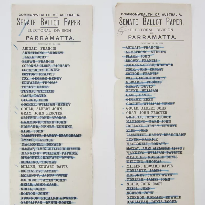 What's The Difference Between Referenda And Plebiscites?