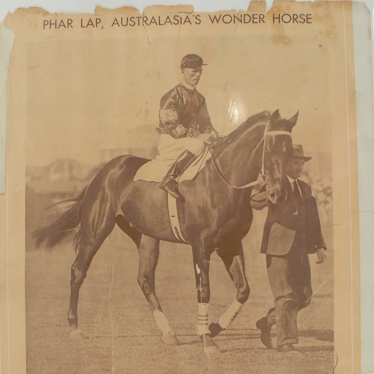 The King Who Never Saw His Coronation - MoAD History Stories